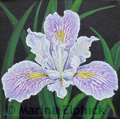 New Paintings – The Batik Route